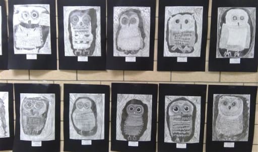 owls grade 3