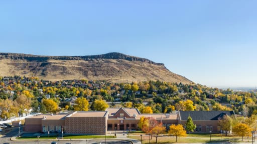 thomas mitchell primary school