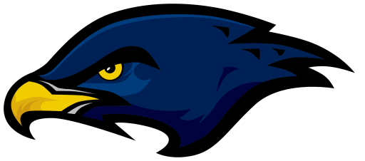 hawk logo coloring pages hendrickson