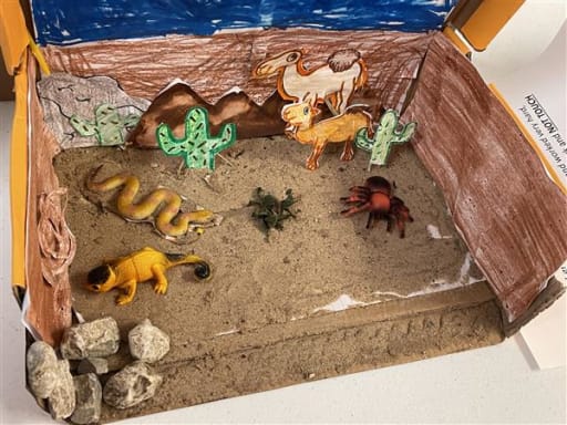 Animal Ecosystem Diorama