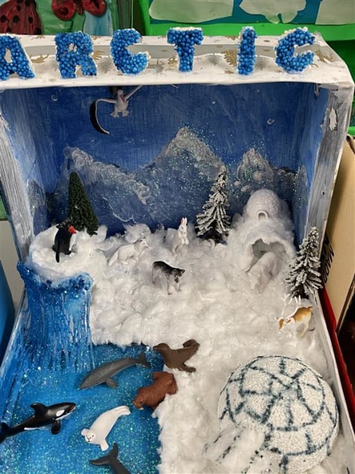 arctic tundra biome diorama