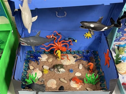 Great White Shark Habitat Diorama