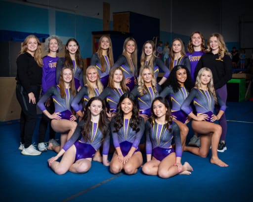 High School Gymnastics Team