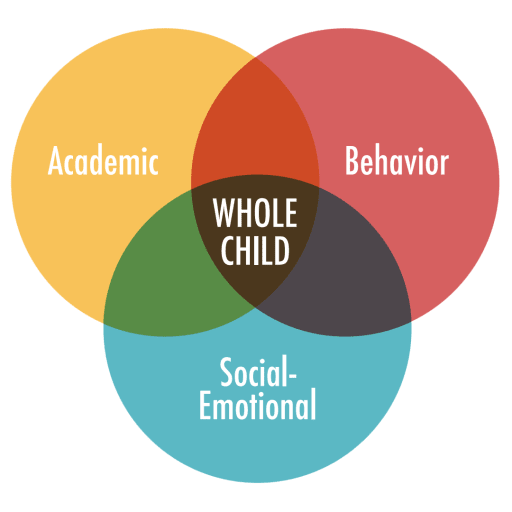 social support systems can provide