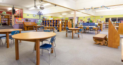 primary school libraries