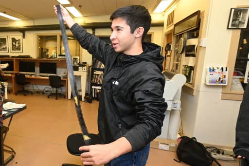 danielle picard sheehan