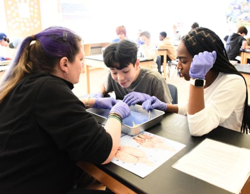 friends middle school