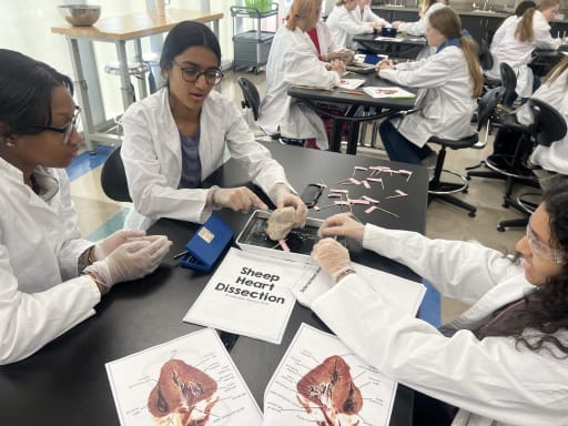 pltw biomedical logo