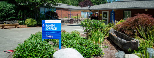 shadow elementary school