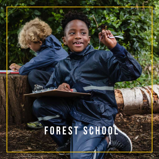 Forest School Forest School Update. Hayesdown First School Hayesdown