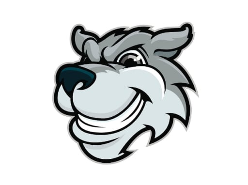 Fox Elementary School Mascot