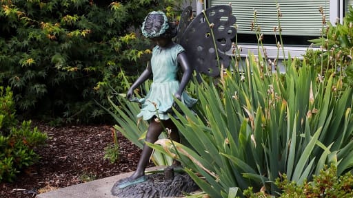 rachel carson coloring page