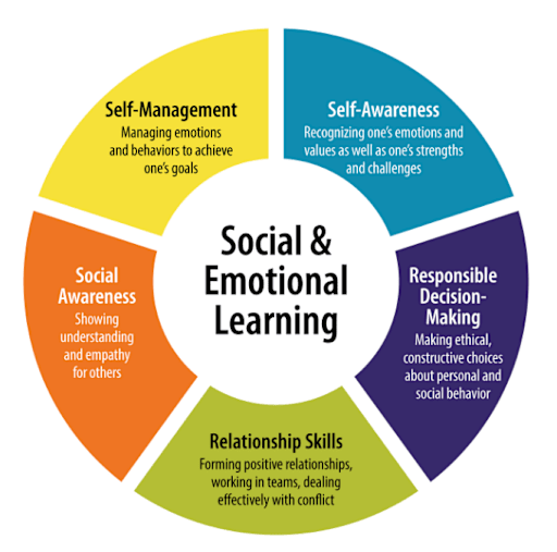 roles of a school social worker