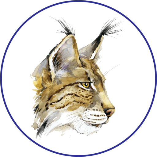 elizabeth blackwell coloring pages