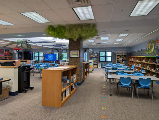 cool elementary libraries