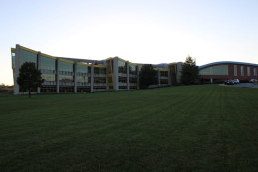High School Scranton Pennsylvania West Scranton High School Cat