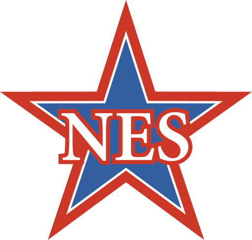 nes logo school