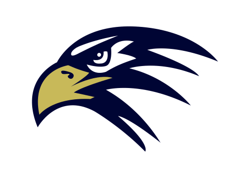 falcon school putney