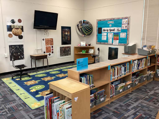 elementary school library sections