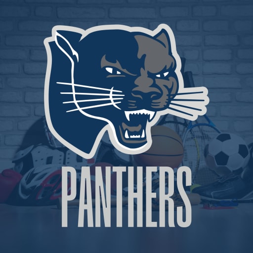 Hamilton Southeastern High School