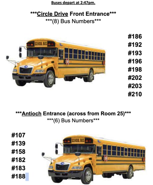 school bus information