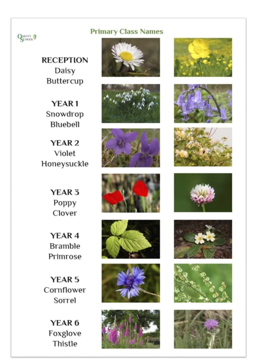 school section names