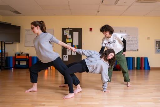 performing arts in practice