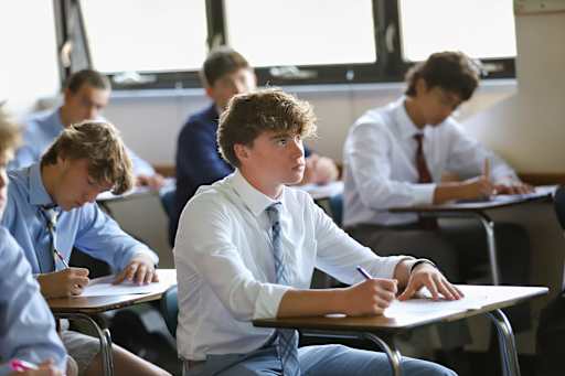 high schools students