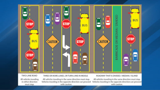 stopped school bus rules