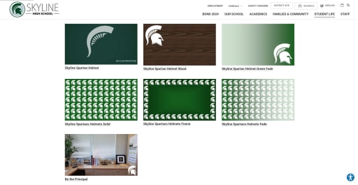 virtual background dimensions