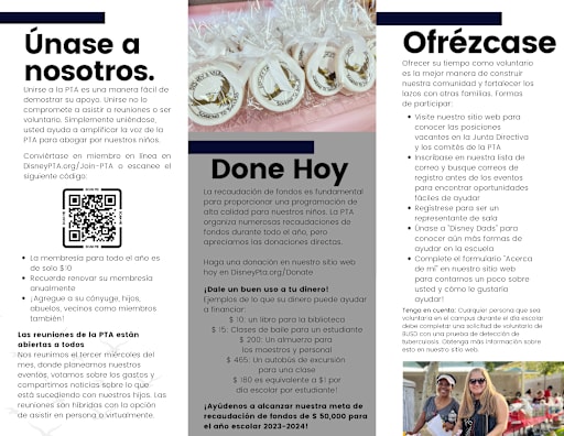 Pta Informational Brochure