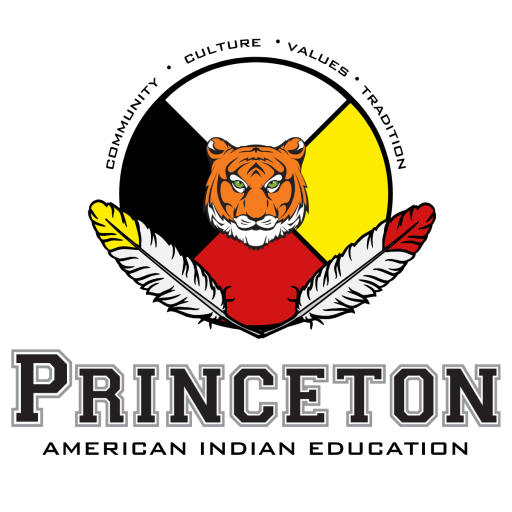 Indian Education Logo