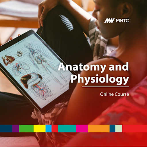 Study Anatomy Online NYAA Essential Anatomy: Online Course By Roberto