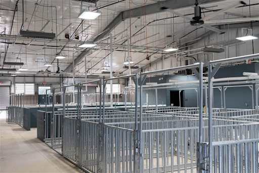 Pig Barn Ideas