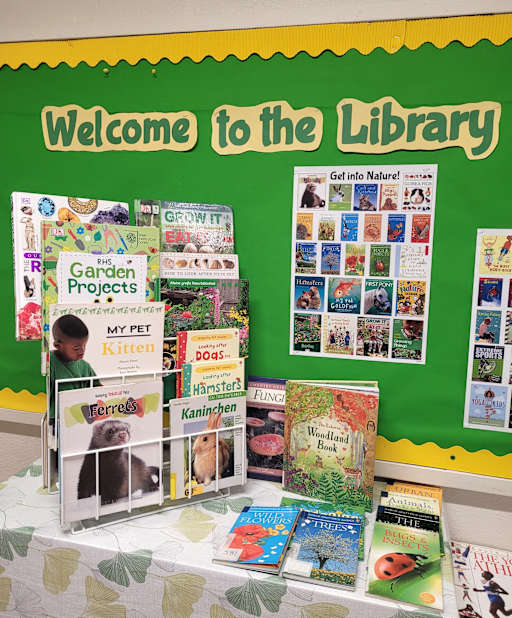 Primary School Library Display Ideas