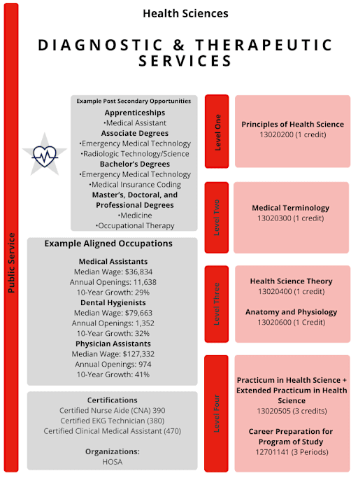 diagnostic services examples