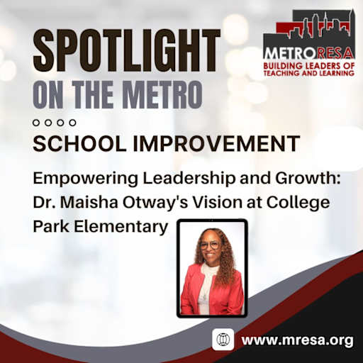 metro schools network