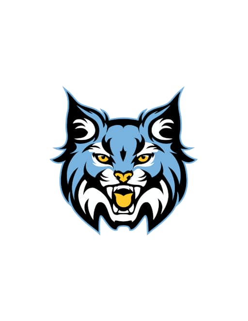 skyview wolverines logo