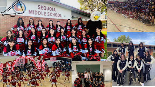 Sequoia Middle School Logo
