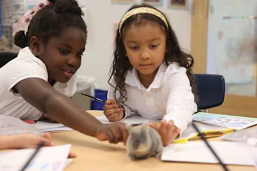 maulden lower school