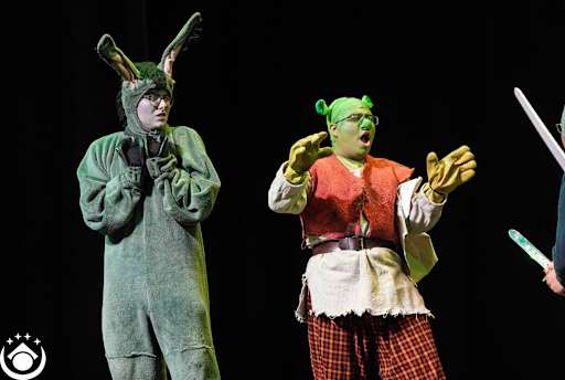Sugar Plum Fairy Costume Shrek