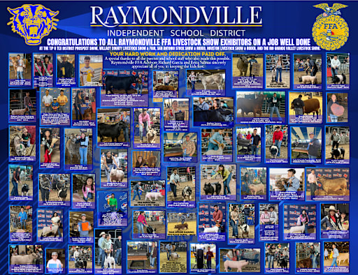 Raymondville School District