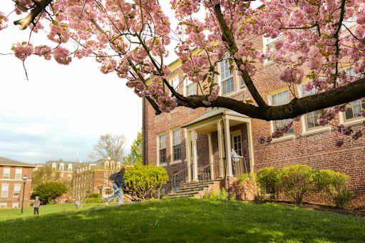 cherry tree garden school