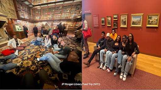 school libraries group