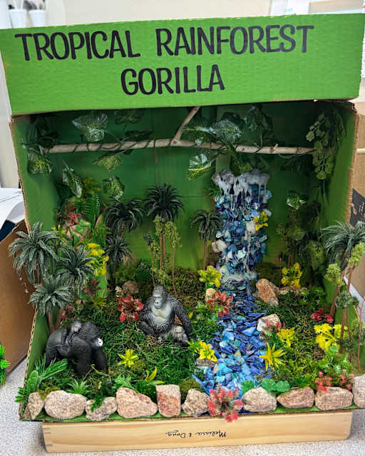 Animal Ecosystem Diorama