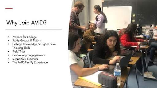 avid learning portal