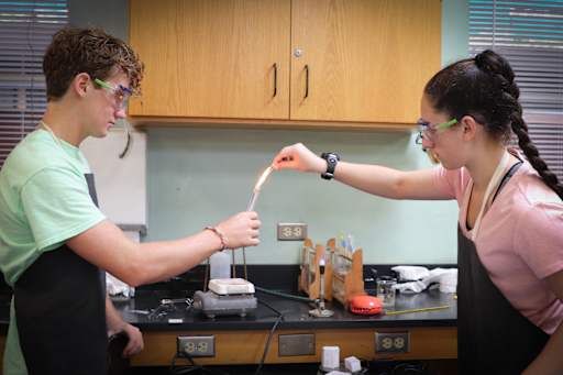 waldorf school austin