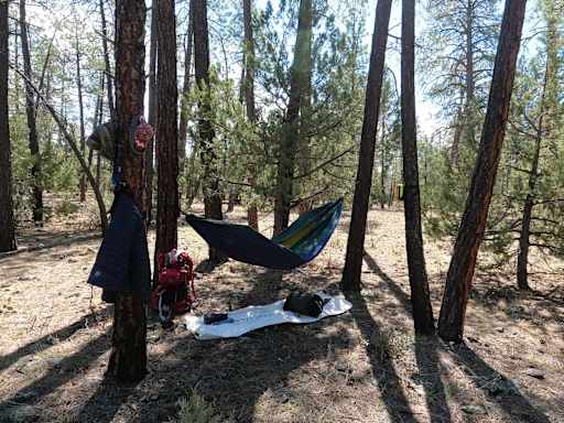 Coconino National Forest Camping