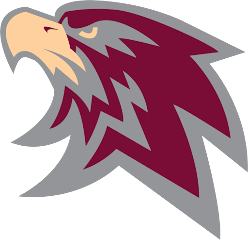 albert einstein school logo