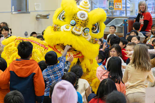 cherry crest battle zone